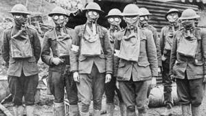 Nitrate poisoning: symptoms and treatment methods